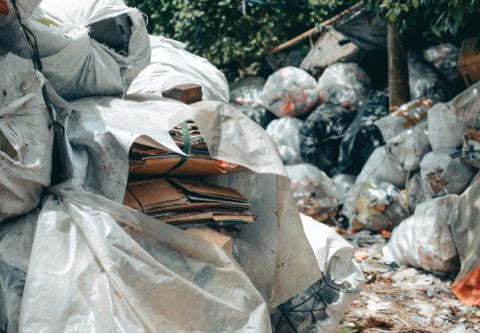 Non-Hazardous Waste - Environmental Biological Services